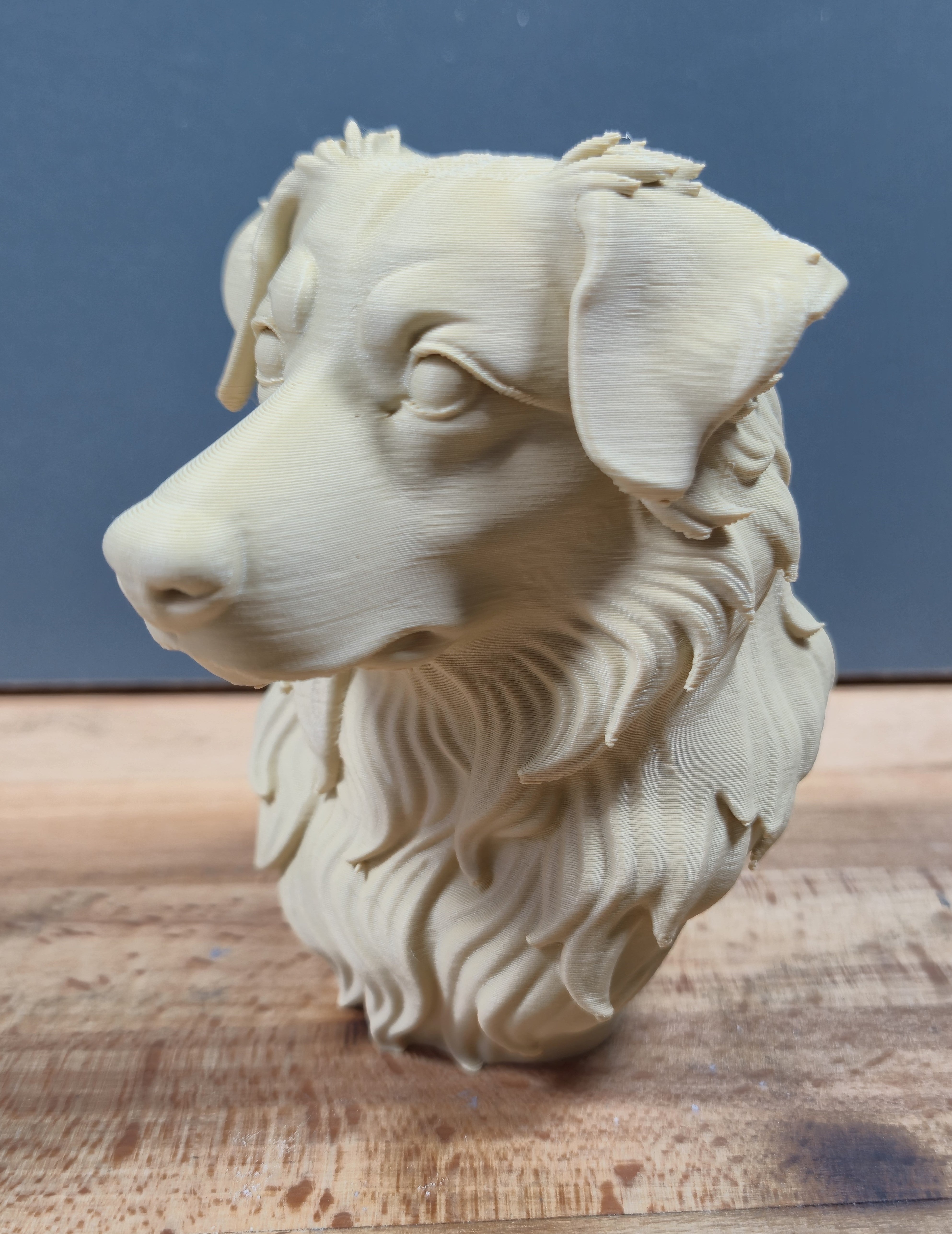 Australian Shepherd Bust – Borishotch Industries