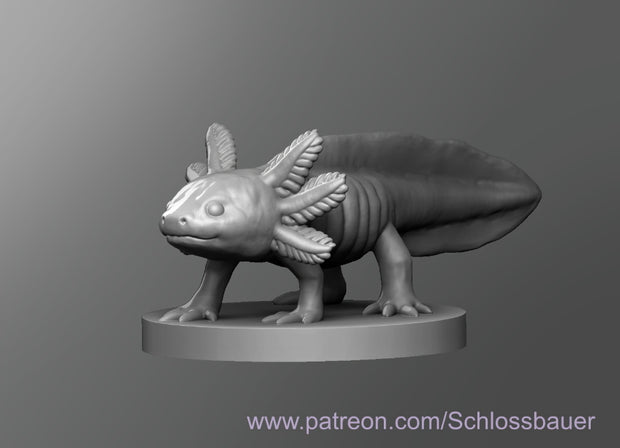 Dungeons & Dragons Axolotl Miniature – Borishotch Industries