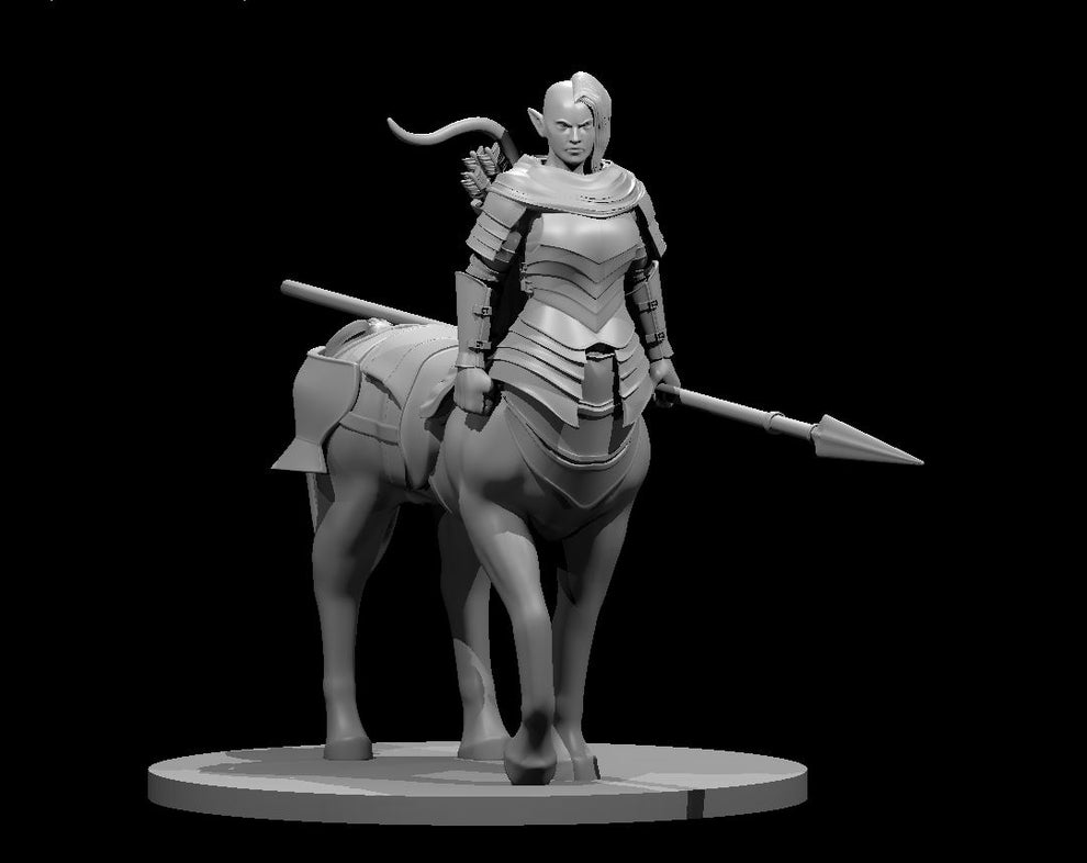 Dungeons & Dragons Centaur Female Trooper Miniature – Borishotch Industries
