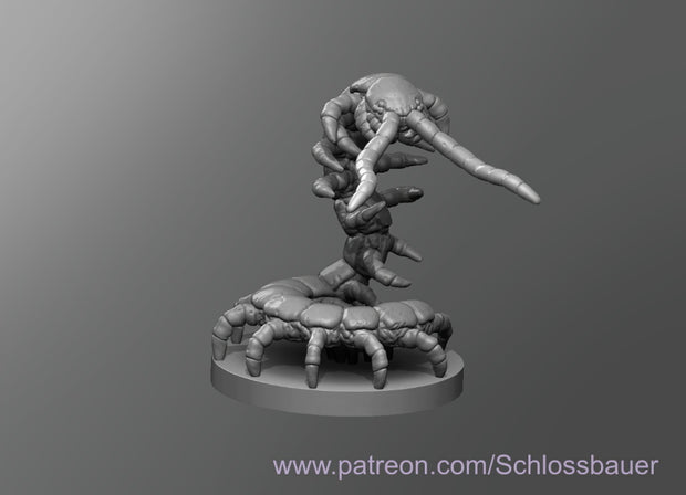 Dungeons & Dragons Centipede Miniature – Borishotch Industries