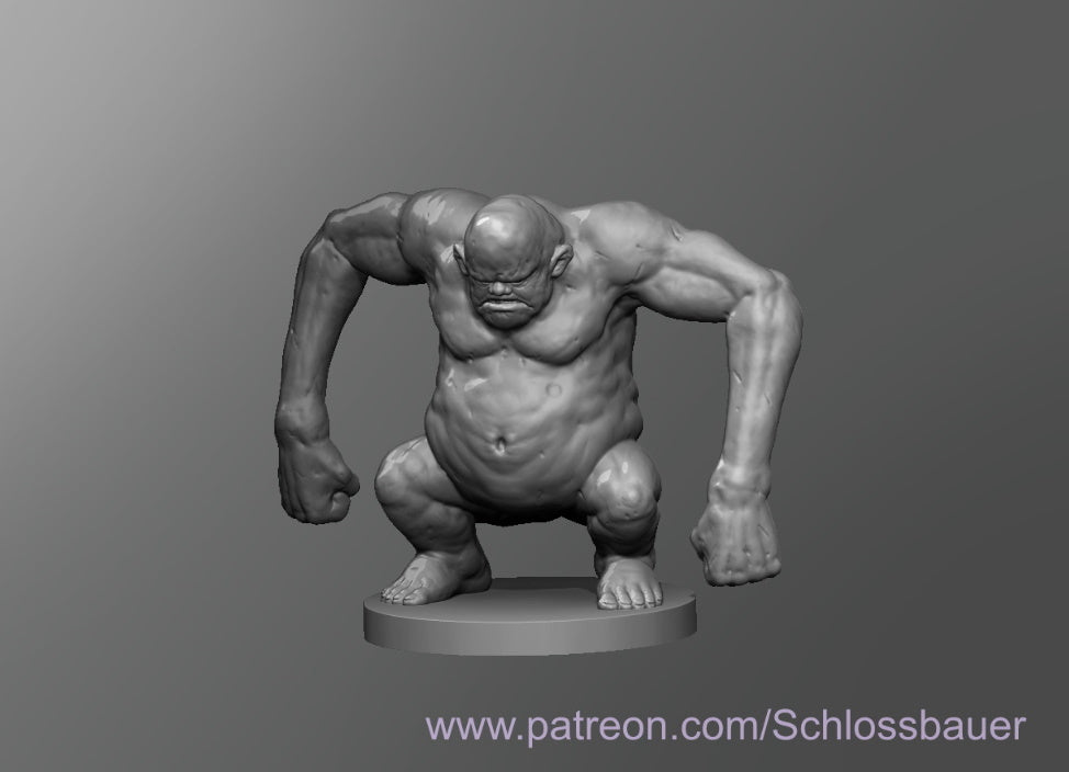 Dungeons & Dragons Devolved Human Miniature – Borishotch Industries