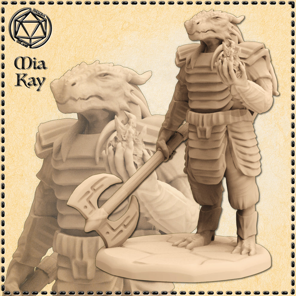 Dungeons & Dragons Dragonborn Eldritch Knight Miniature – Borishotch ...