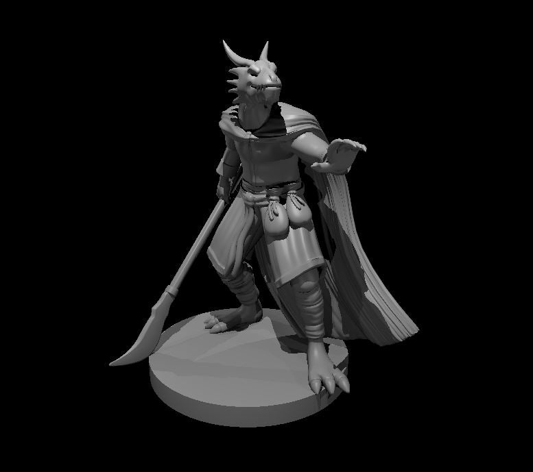 Dungeons & Dragons Dragonborn Sorcerer - Psion with Glaive Miniature ...
