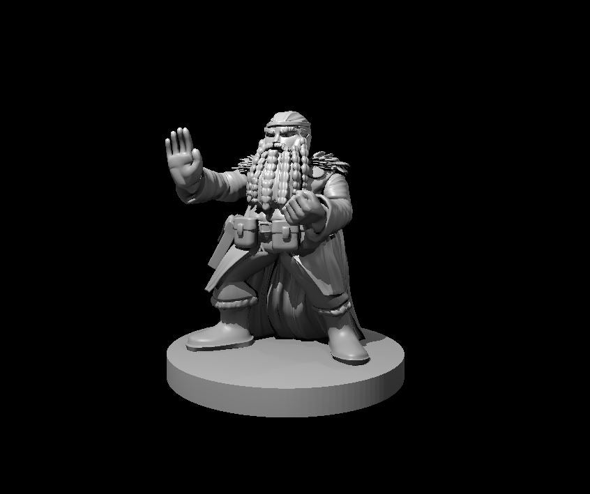 Dungeons & Dragons Dwarf Wizard Miniature – Borishotch Industries