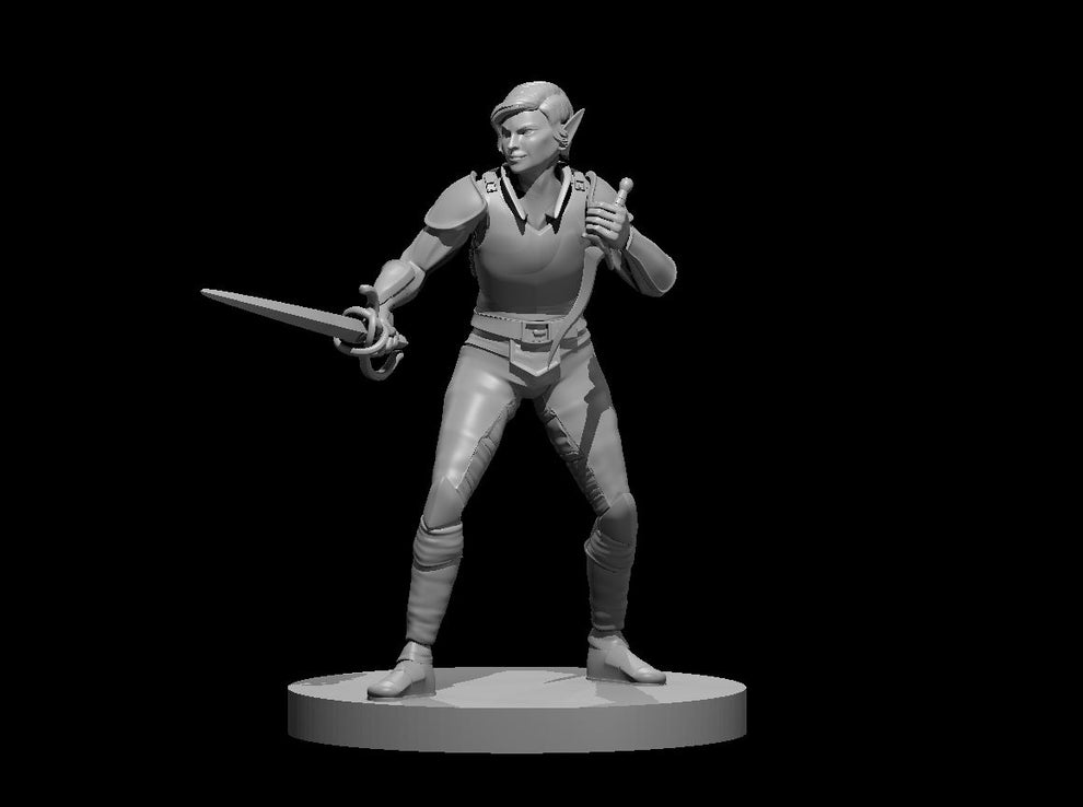 Dungeons & Dragons Elf Female Swashbuckler Miniature – Borishotch ...