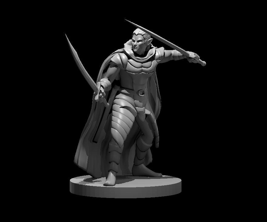 Dungeons & Dragons Elf Male Two Sword Ranger Miniature – Borishotch ...