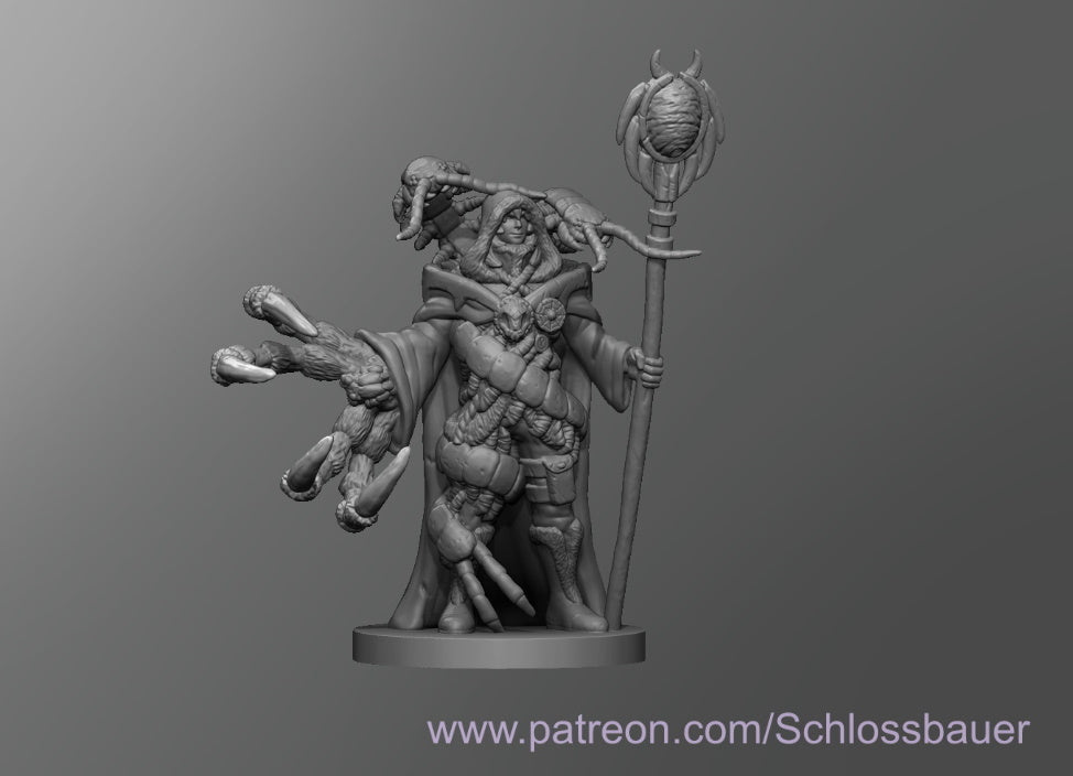 Dungeons & Dragons Entomancer Miniature – Borishotch Industries