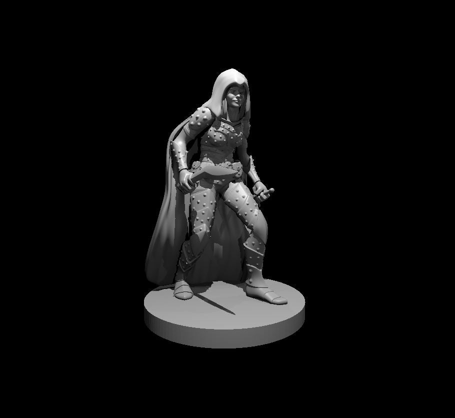 Dungeons & Dragons Human Female Rogue Miniature – Borishotch Industries
