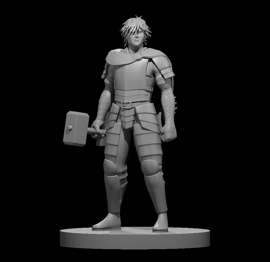 Dungeons & Dragons Human Male Fighter Heavy Armor and Warhammer with D ...