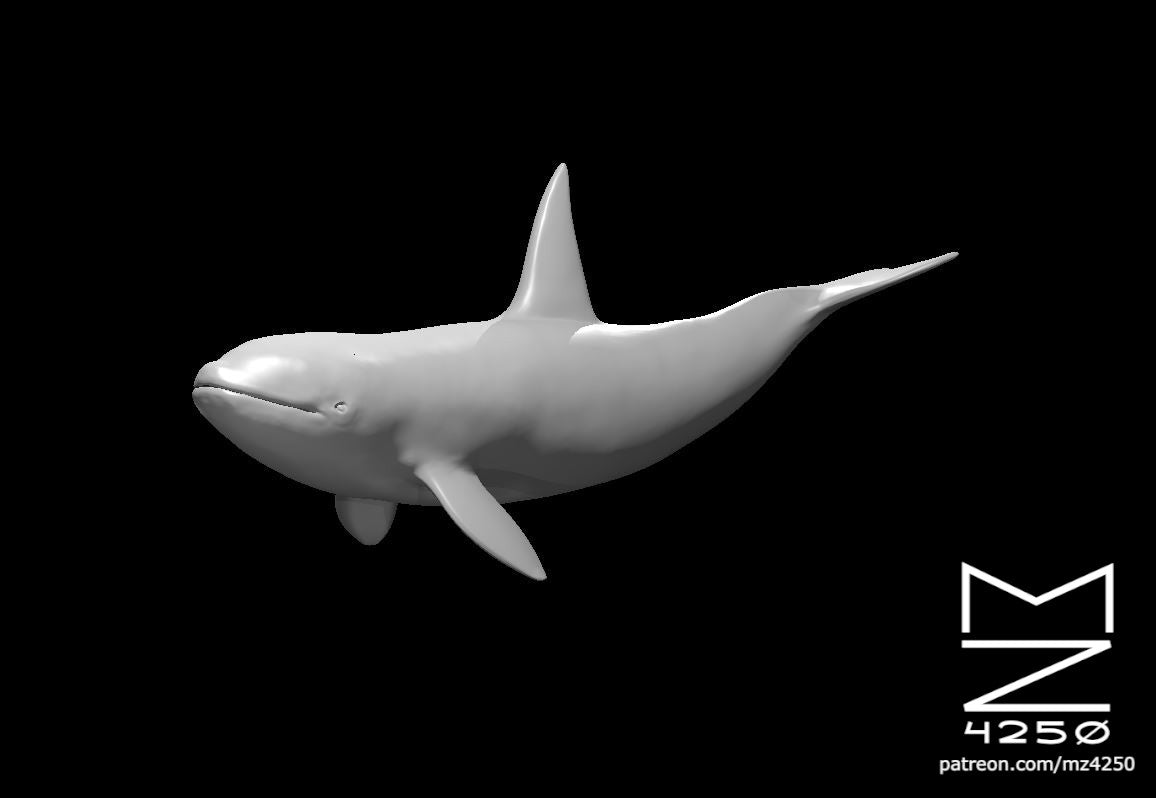 Dungeons & Dragons Killer Whale Miniature – Borishotch Industries