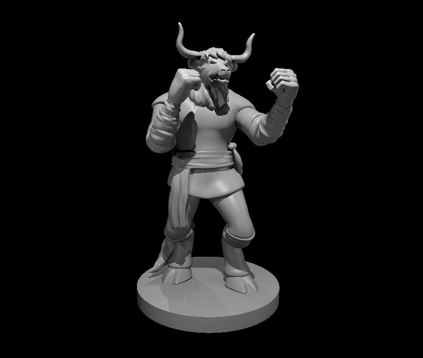 Dungeons & Dragons Minotaur Monk Miniature – Borishotch Industries