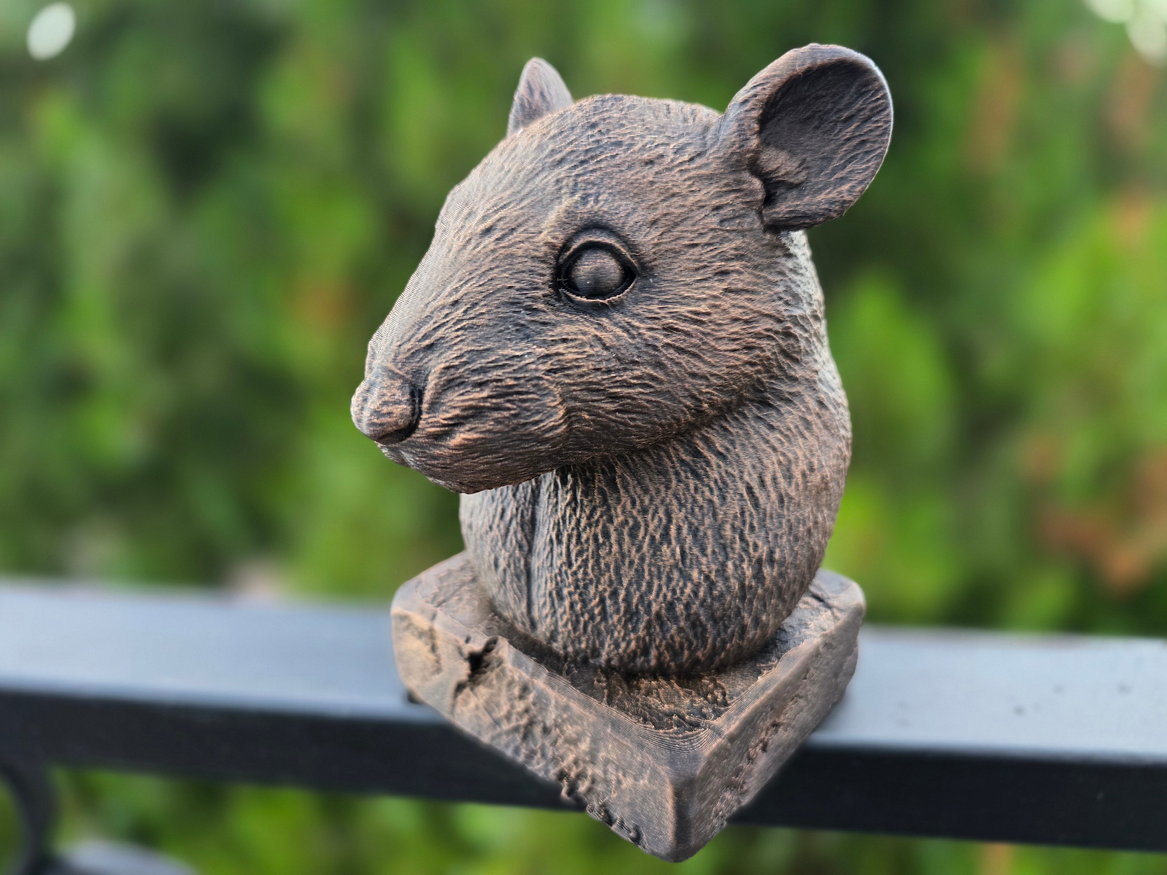 Rat Bust – Borishotch Industries