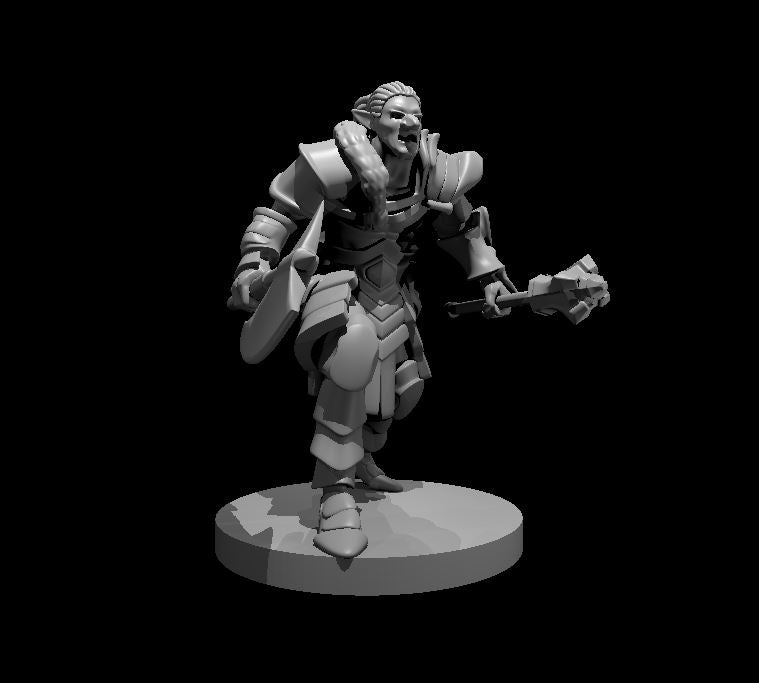 Dungeons & Dragons Trollkin Male Barbarian Miniature – Borishotch ...